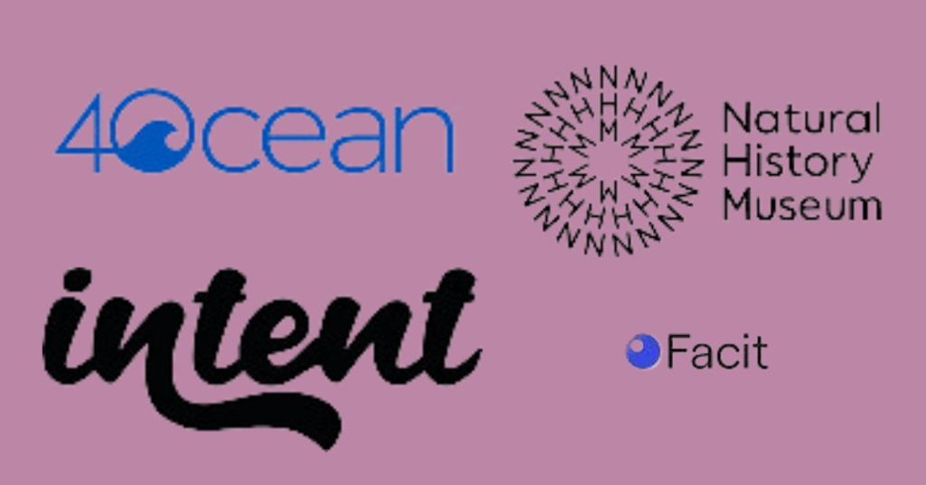 About Siobhan Solberg